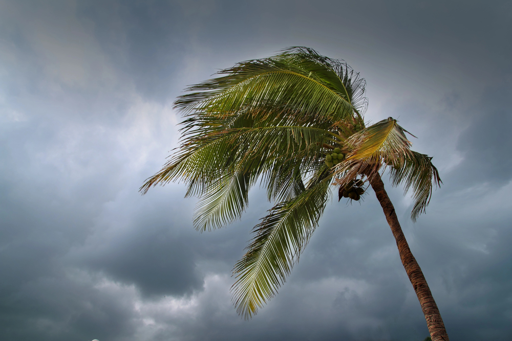 5 Predictions for the Insurance Industry in 2026 - IA Magazine